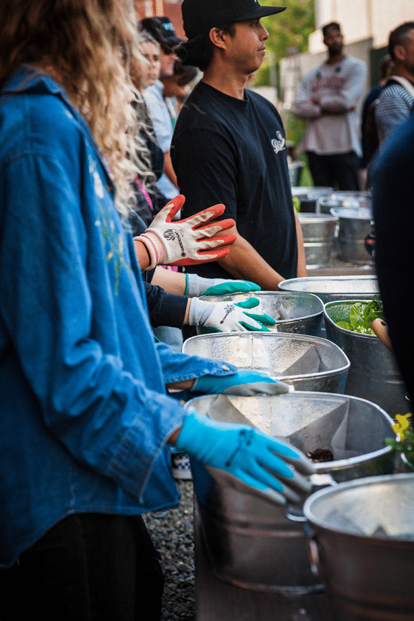 Galvanized Plant Container Size Guide & Chart | Behrens